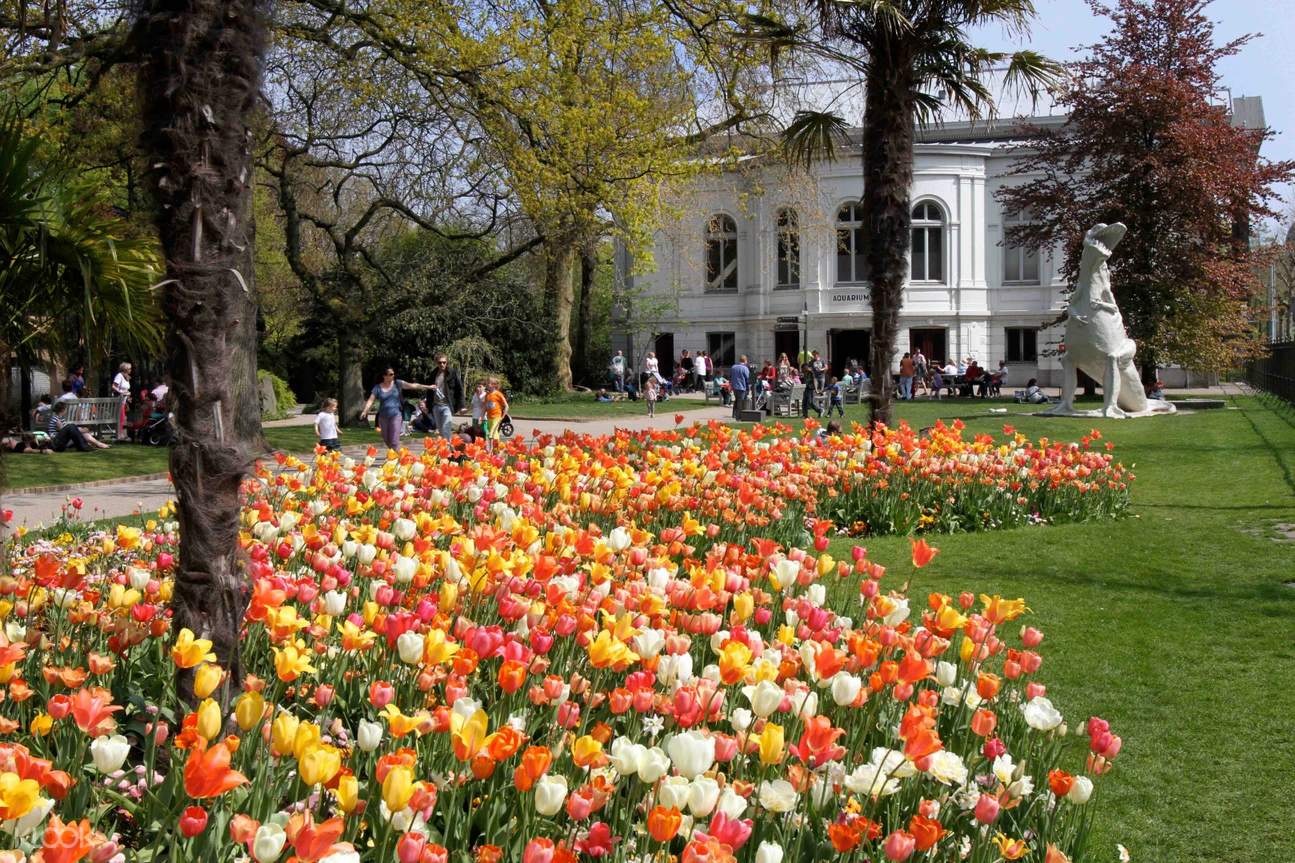 ARTIS Amsterdam Royal Zoo Entrance Ticket - Klook Malaysia