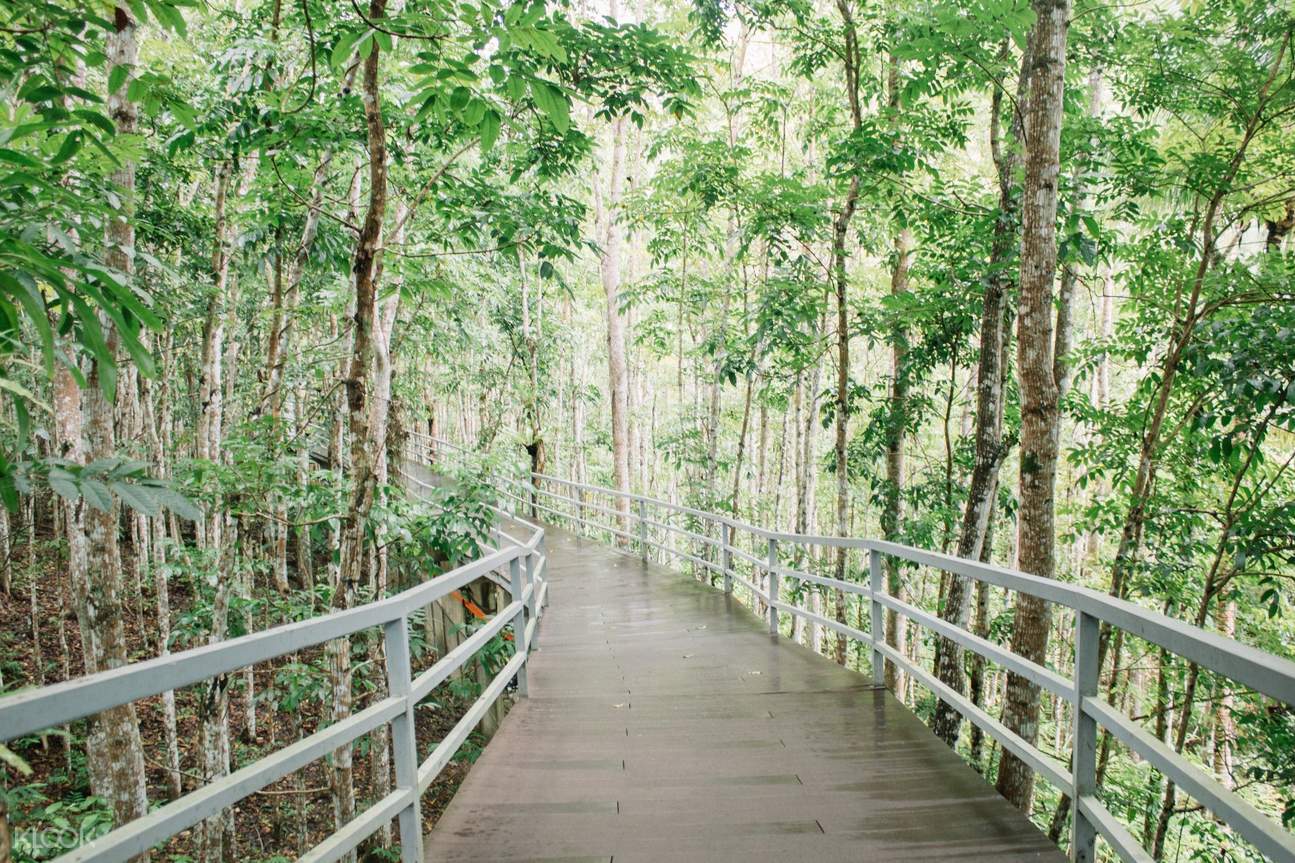 Cebu Safari and Adventure Park Ticket in Cebu - Klook Philippines