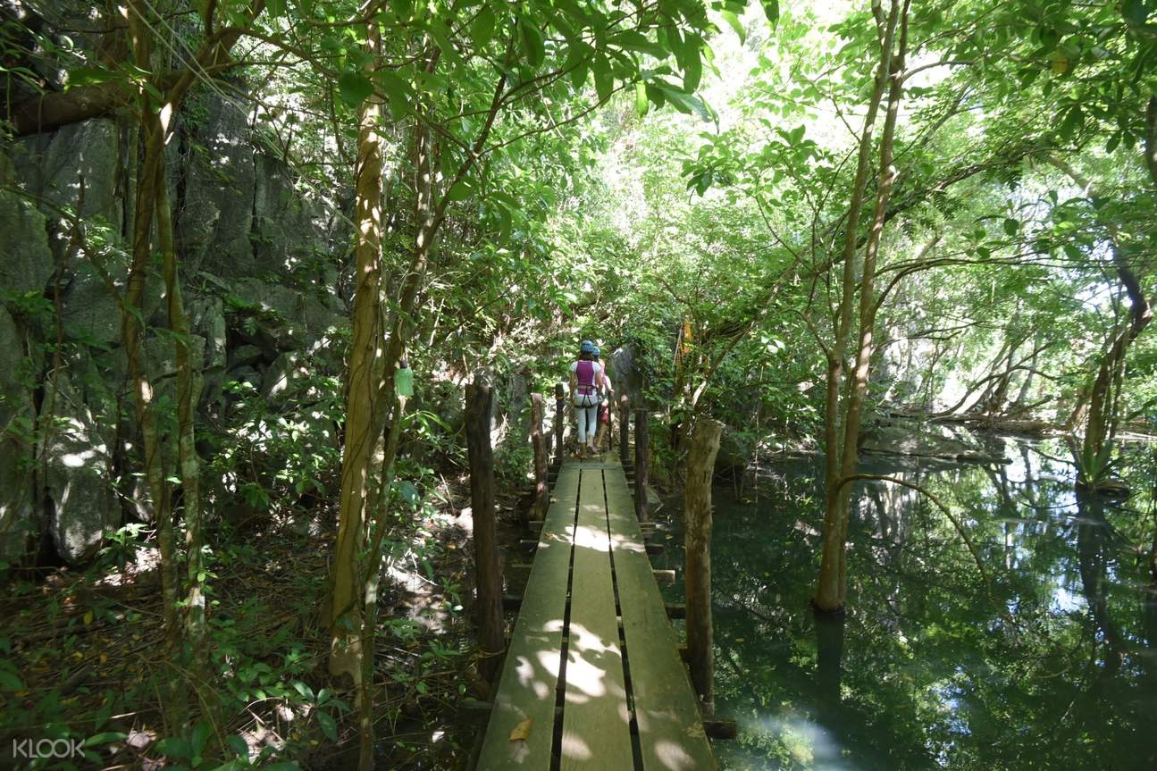 Up to 15% Off | Taraw Via Ferrata (Taraw Cliff, Canopy Walk Viewdeck ...