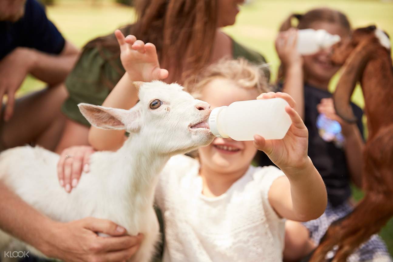 Oakvale Wildlife Park Entry Ticket - Klook US