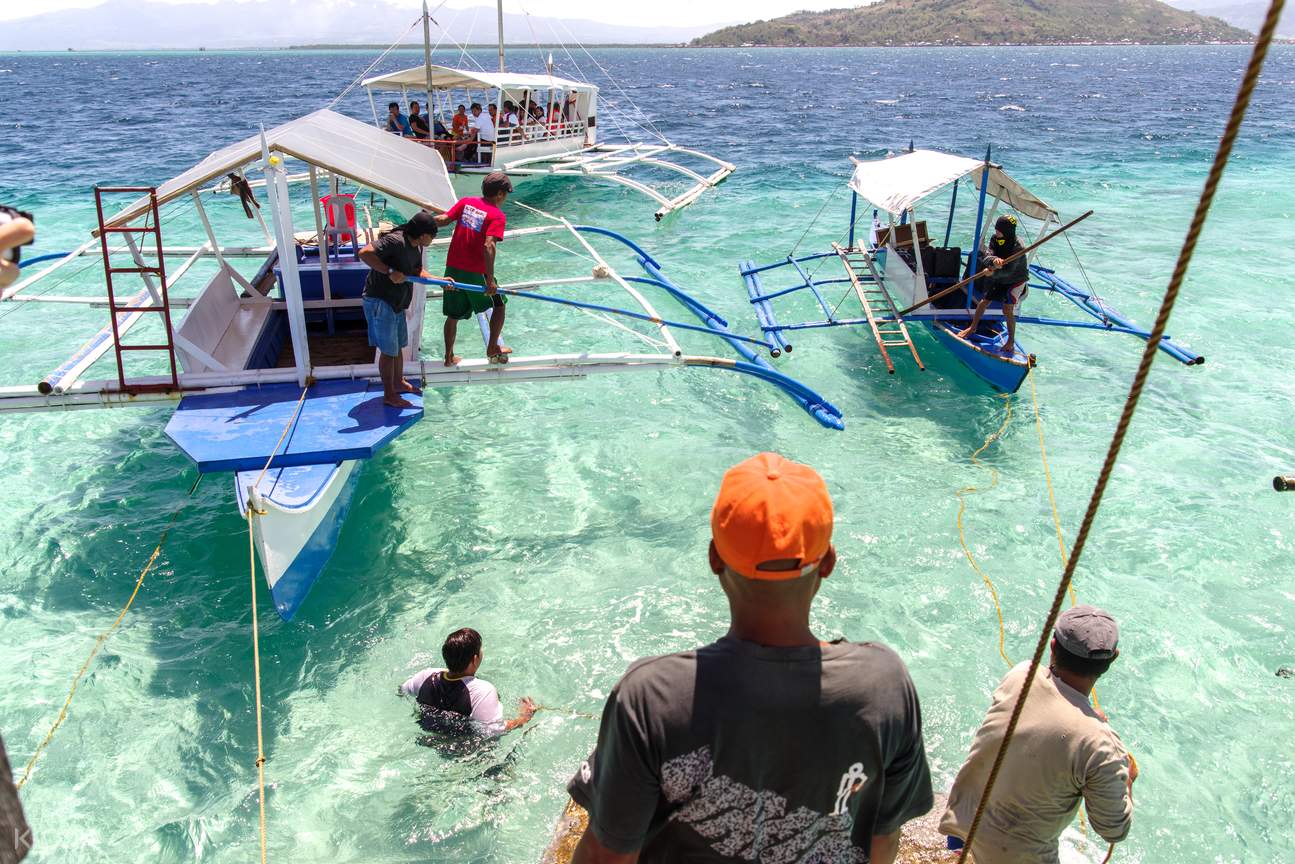 Dolphin Watching and Manjuyod Sandbar Tour, Dumaguete, Philippines