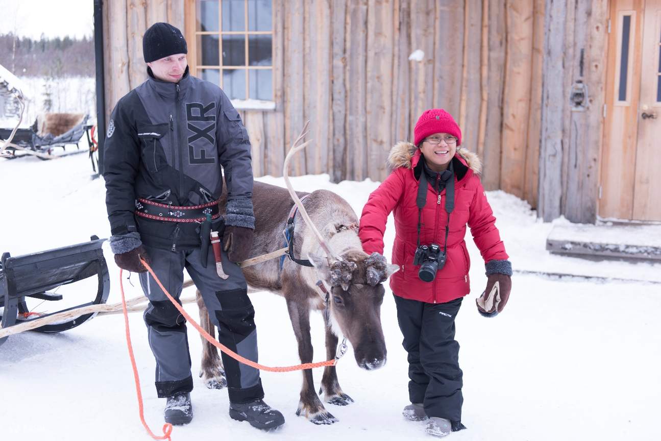 Reindeer Farm Experience in Rovaniemi - Klook Singapore