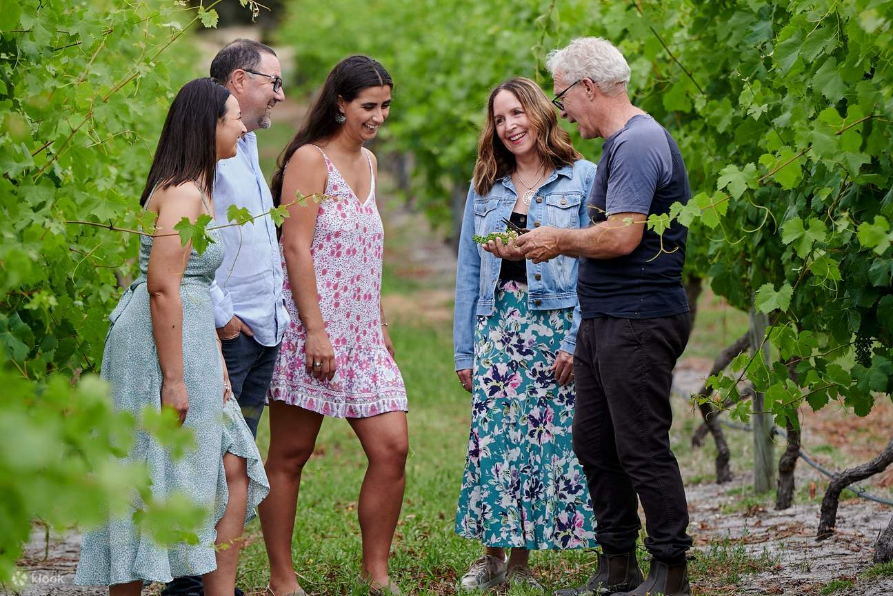 Vineyard & Winery Experience in Geographe - Klook India