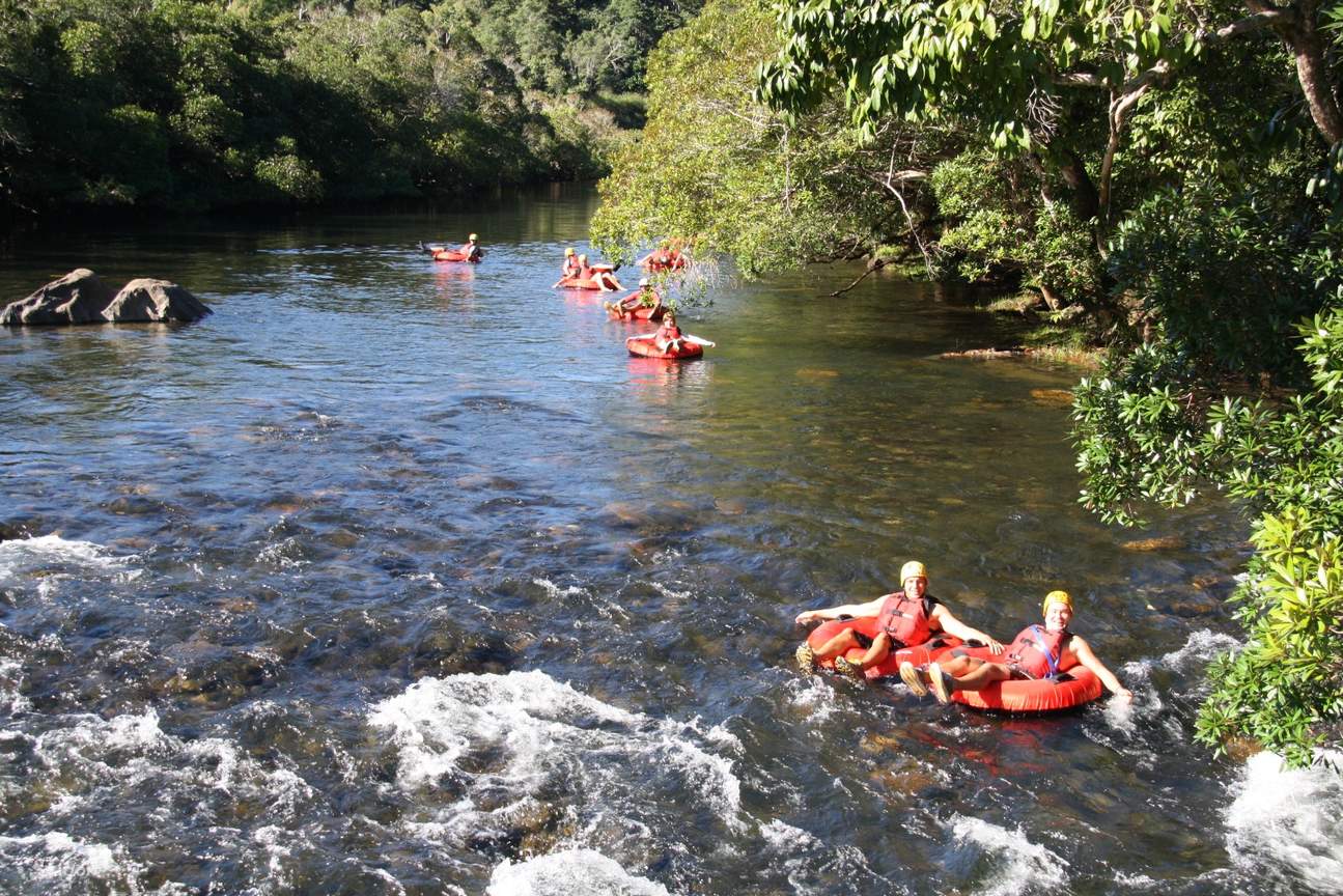 Mulgrave River Tubing Experience from Cairns or Northern Beaches ...