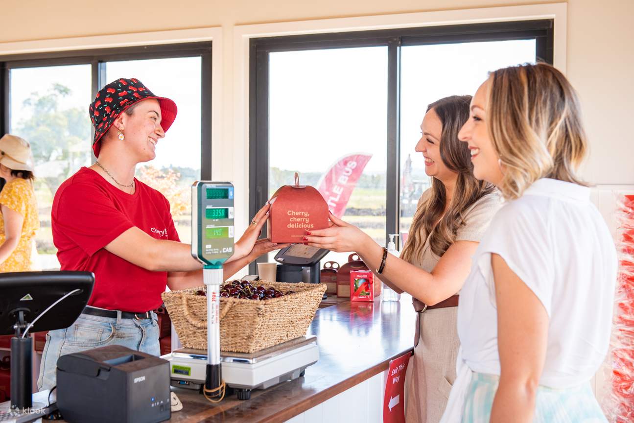 Memetik Ceri di CherryHill Orchards - Klook Amerika Syarikat