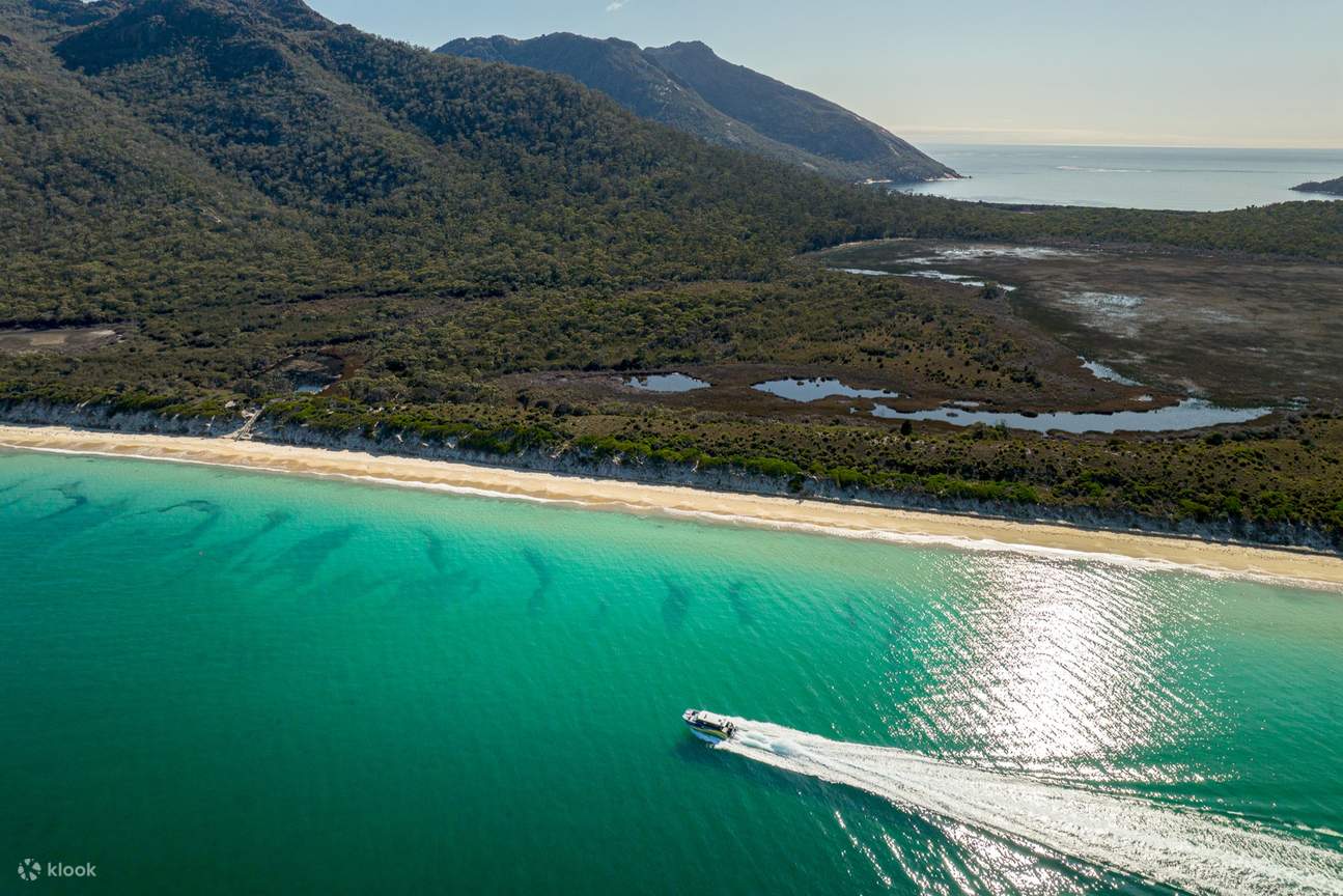Freycinet Aqua Express One-Way Cruise - Klook United States