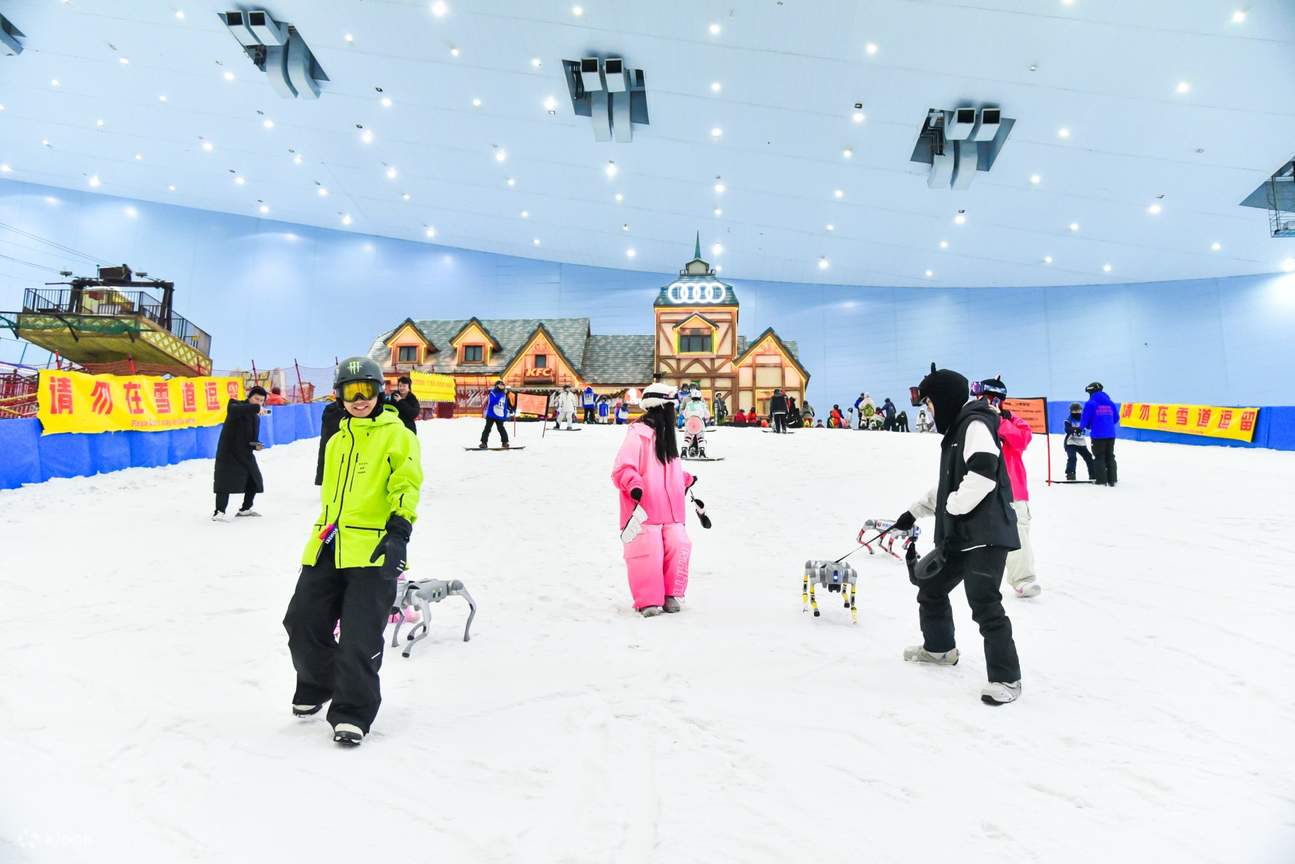 Sunac Snow Park in Guangzhou - Klook Singapore