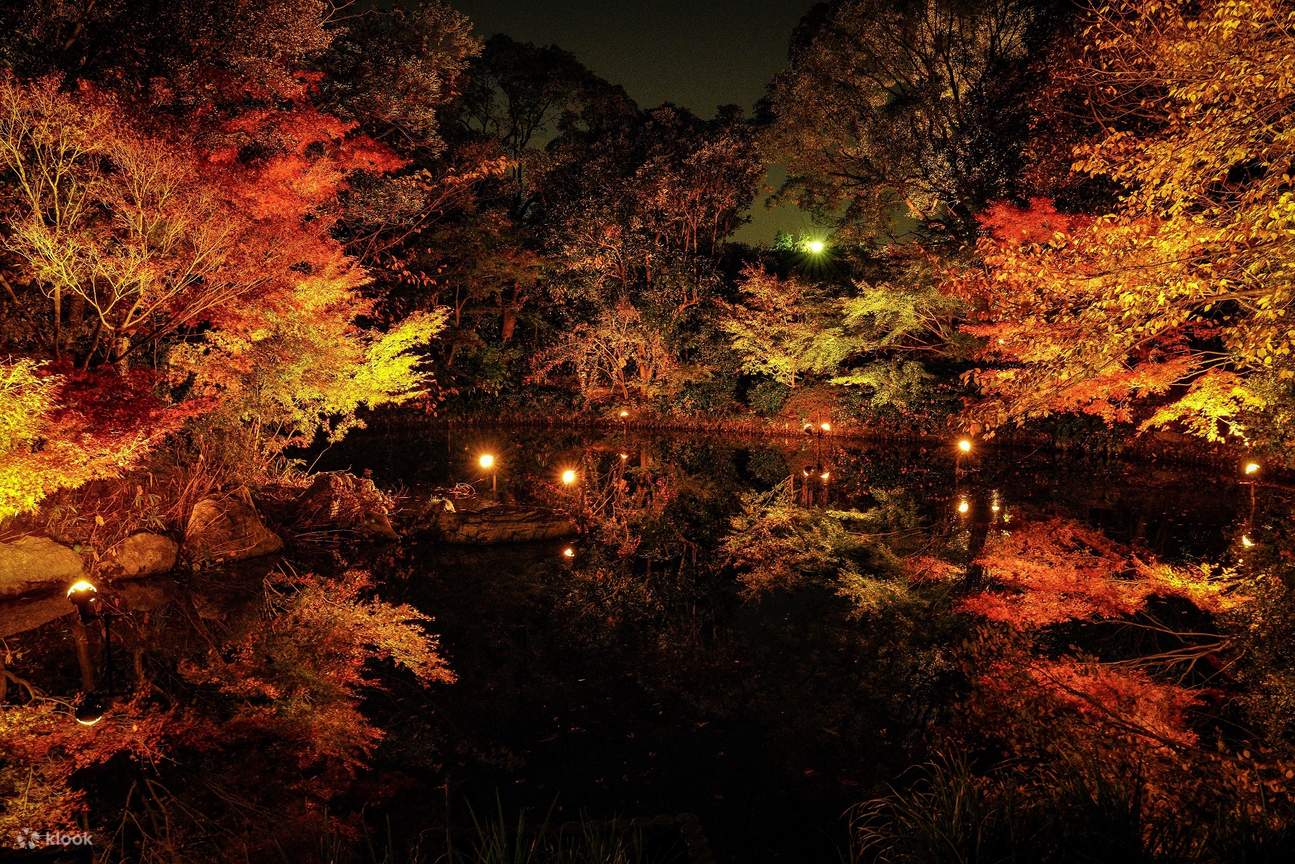 Korankei and Obara One Day Bus Tour with Sakura & Maple Leaves Viewing ...