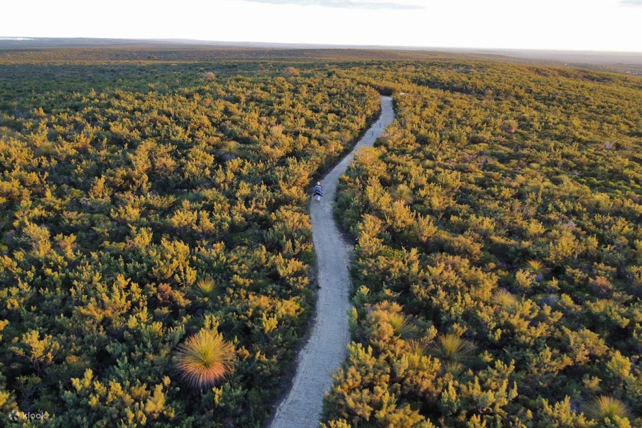 Perth to Pinnacles Self-Guided Driving Tour - Klook Australia