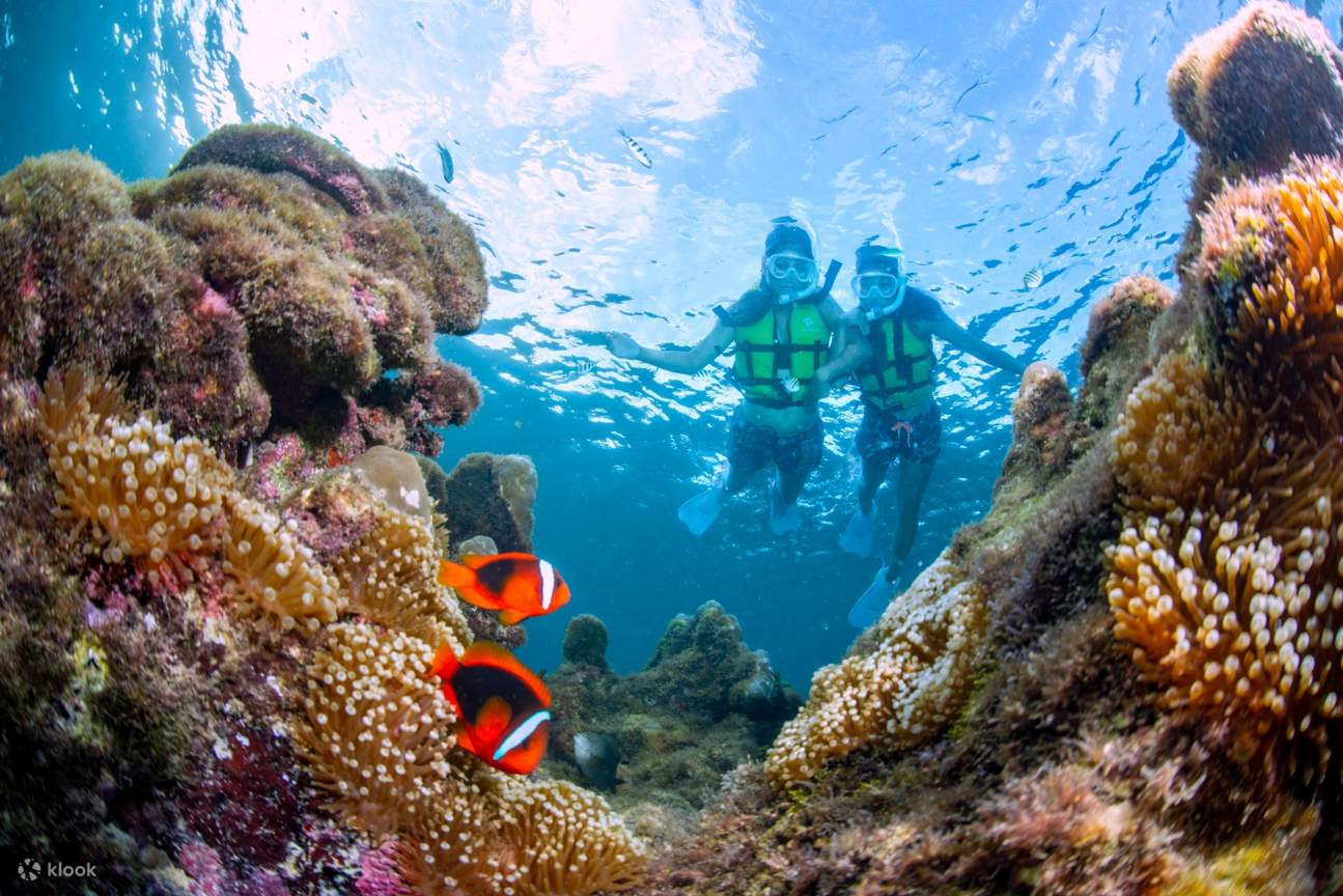 Coral Snorkeling in Miyako Island - Klook