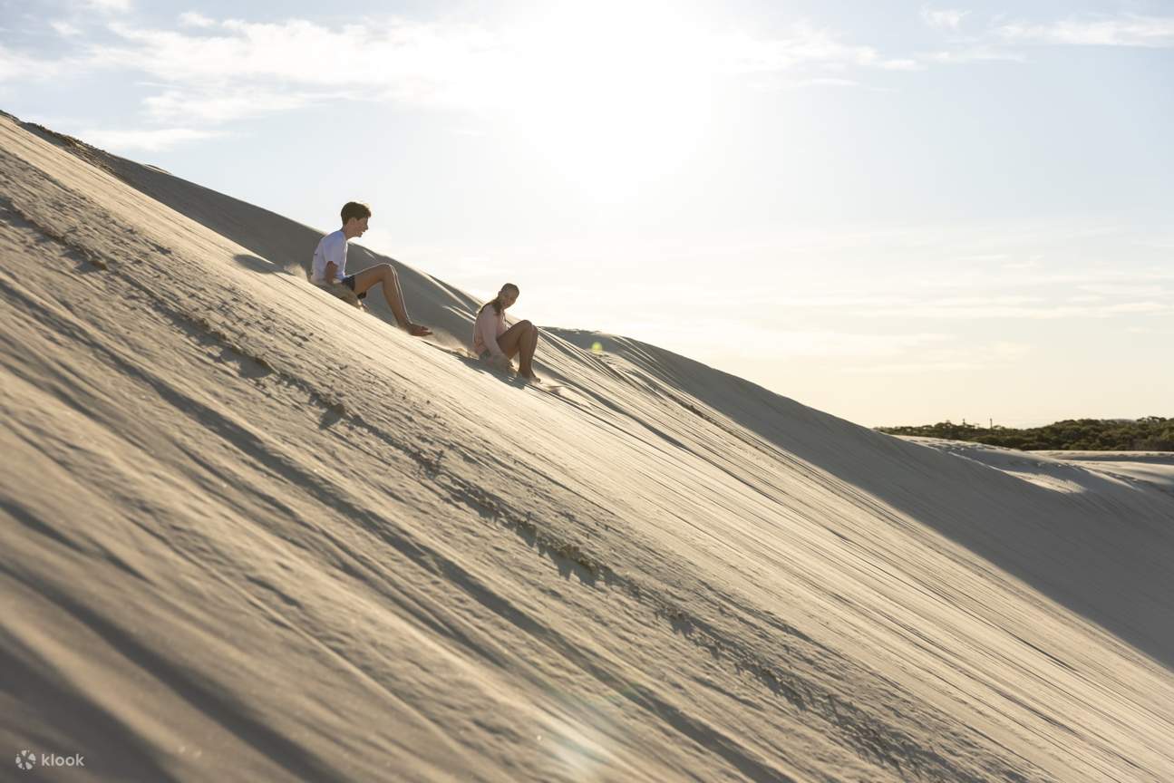 Daily Unlimited Sandboarding in Port Stephens - Klook Singapore