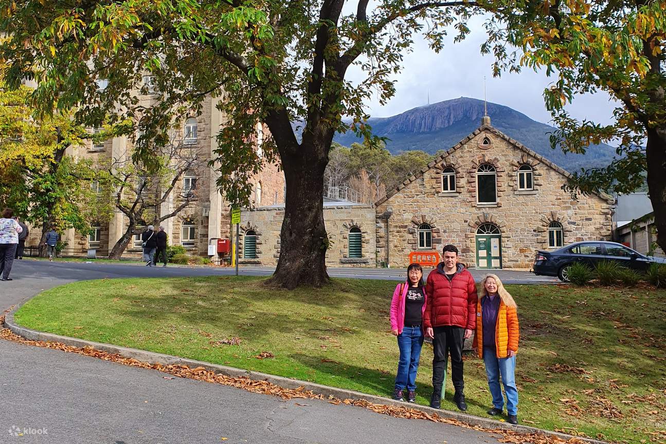 Mt Wellington Nachmittagstour mit dem Auto - Klook Deutschland