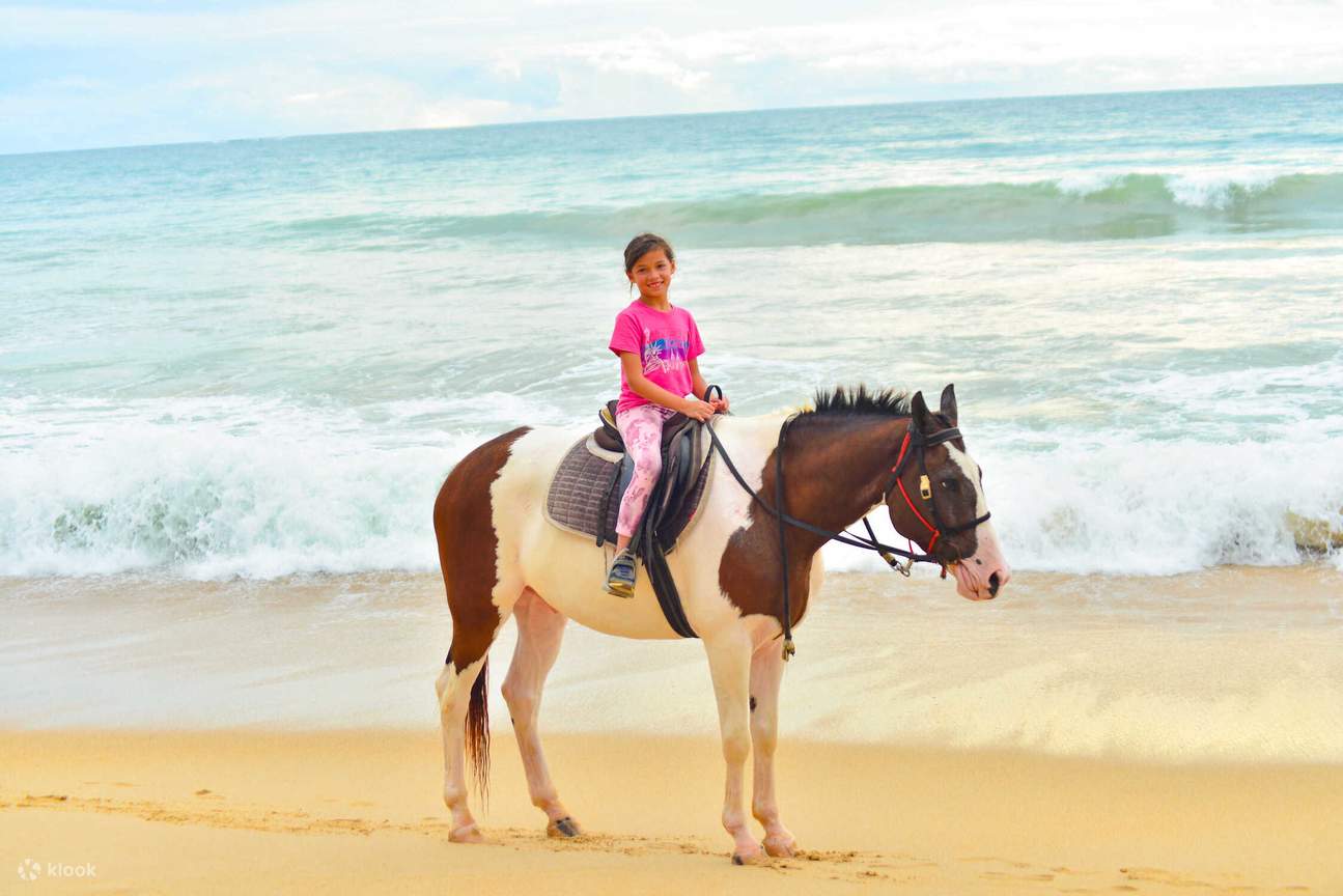 Phuket: Kamala Beach Horse Riding Activity - Klook