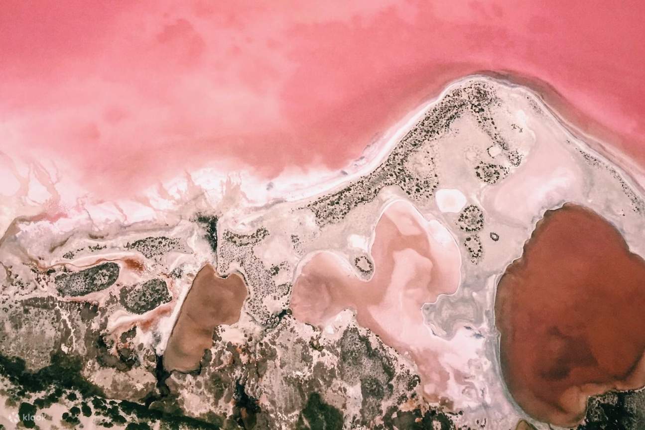 6D5N Pink Lake, Pinnacles & Rottnest Island & Nature‘s Window Tour ...