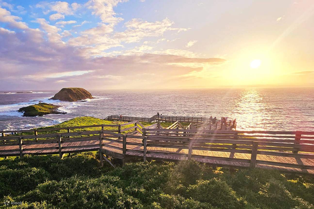 Phillip Island Wildlife Cruise and Penguins Tour from Melbourne - Klook ...