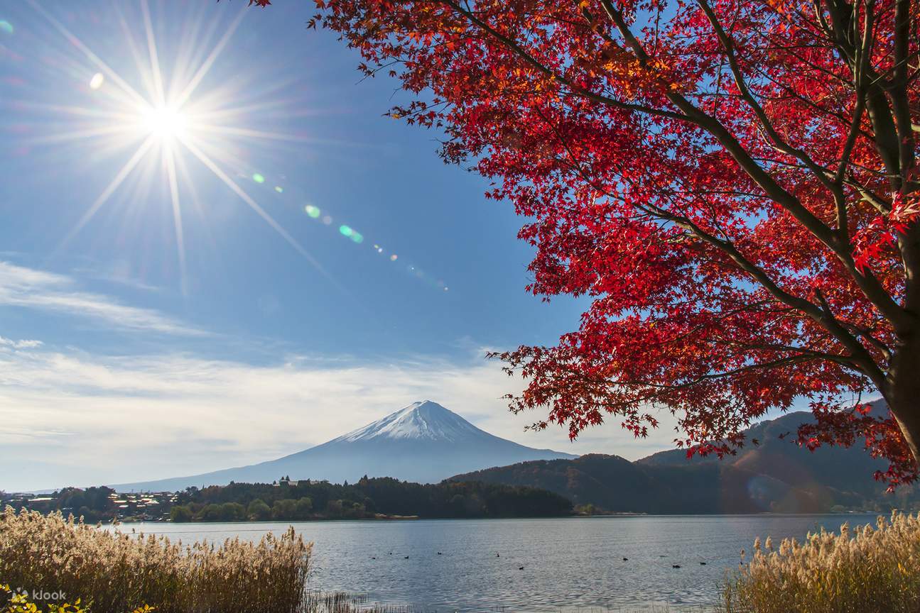Mt. Fuji view & Suntory Hakushu Distillery Whisky Museum - Klook