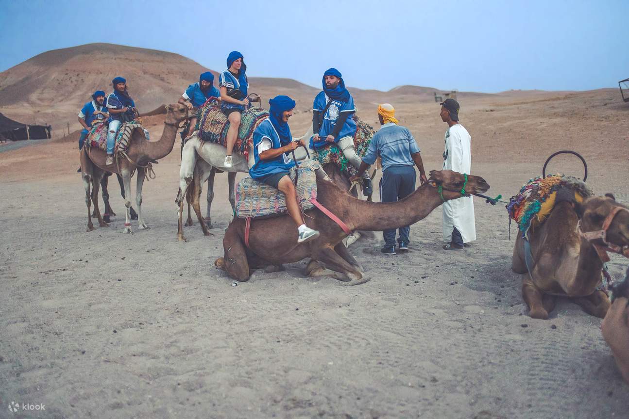 Experience a Magical Camel Ride and Dinner Show in Agafay Desert ...