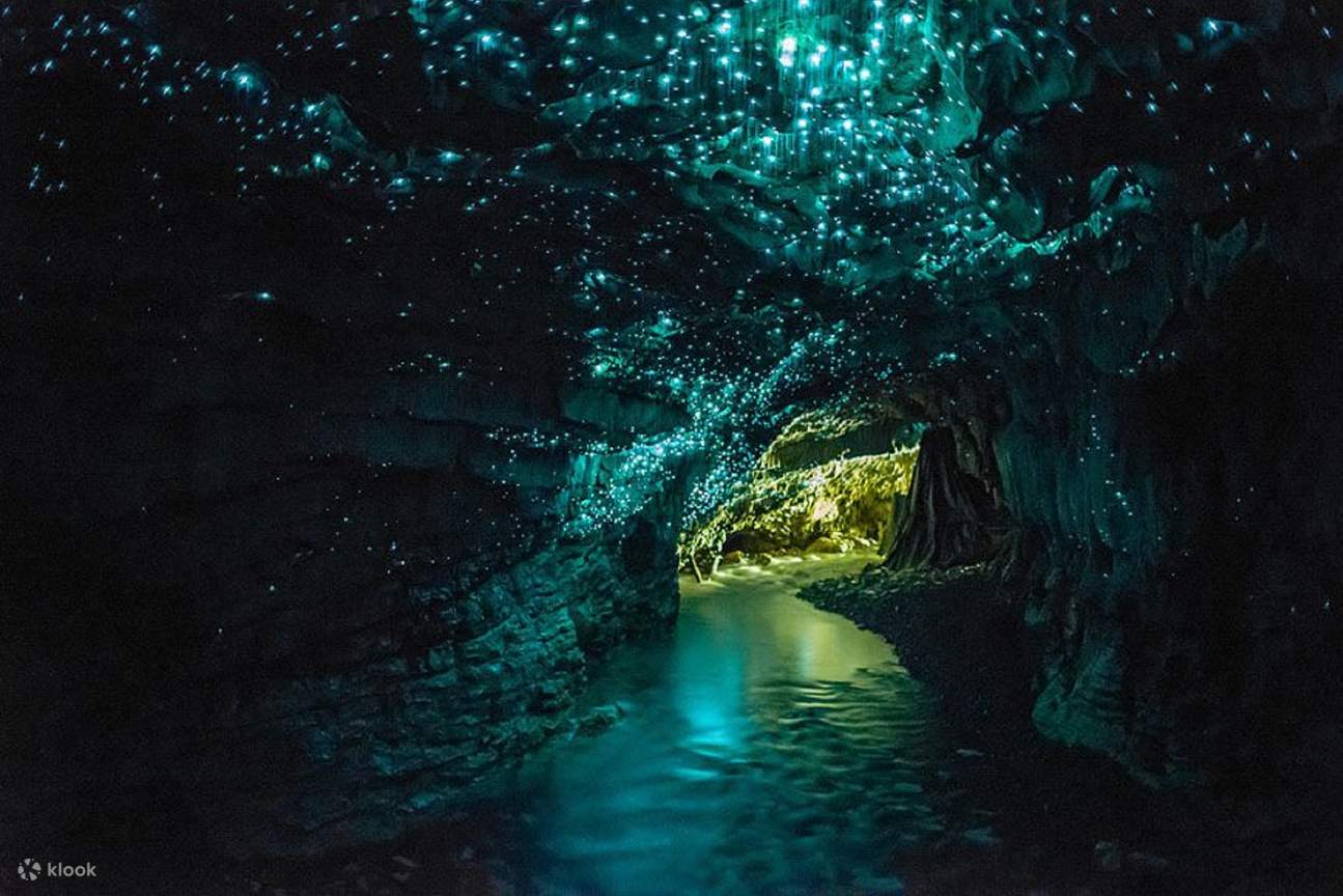 Waitomo Glow Worm Caves & Rotorua Geothermal Valley - Klook India