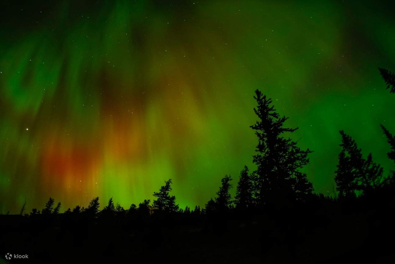 Stargazing Tour in Banff National Park - Klook Hong Kong