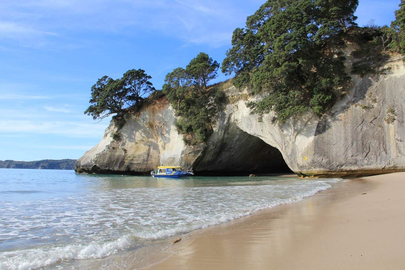 Summer Coromandel Day Tour From Auckland - Klook United Kingdom