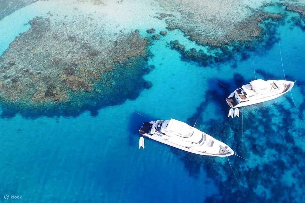 Pengalaman Ras Mohamed & Pulau Putih dari Sharm El Sheikh - Klook Indonesia