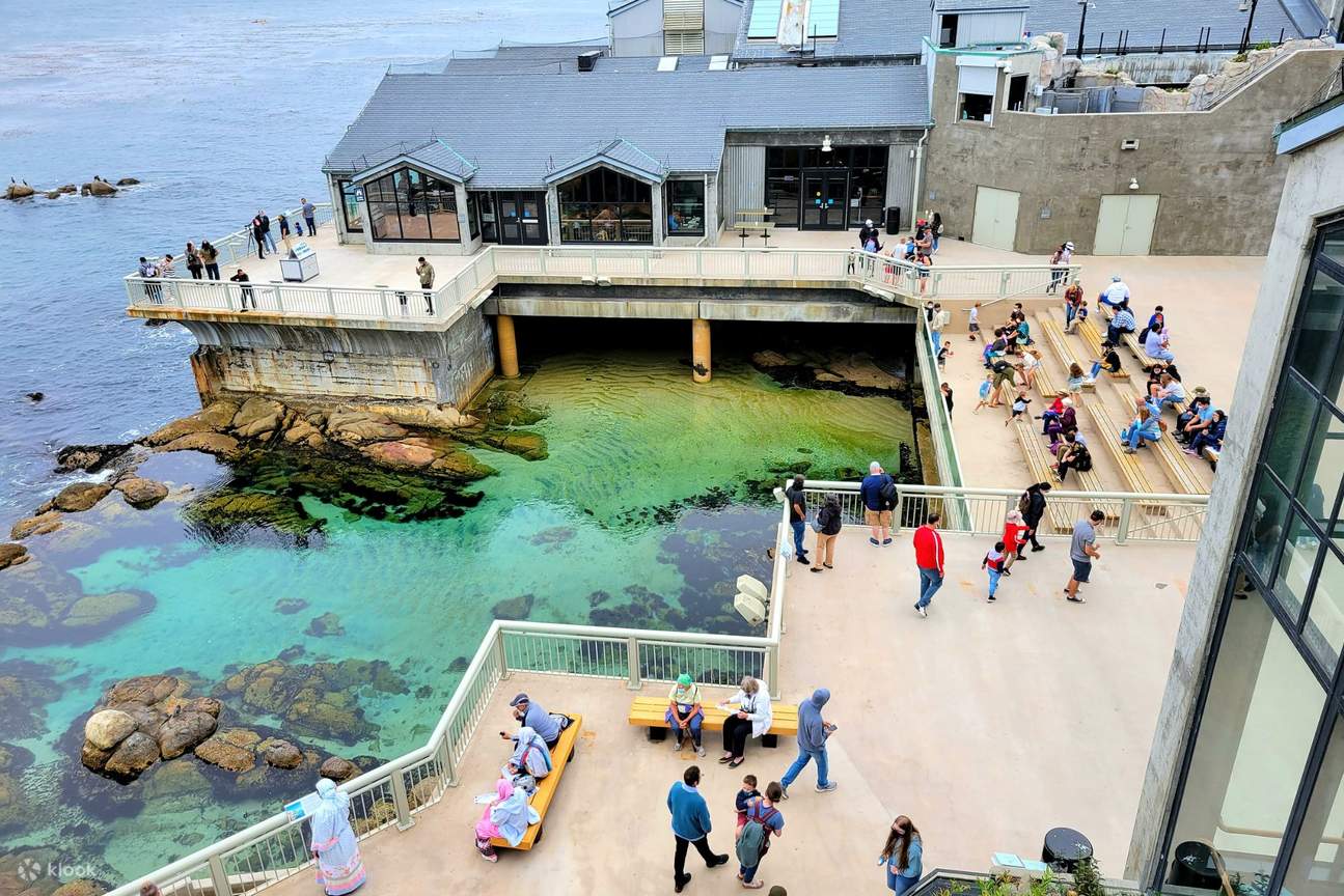 Monterey and Carmel Join In Day Tour from San Francisco - Klook