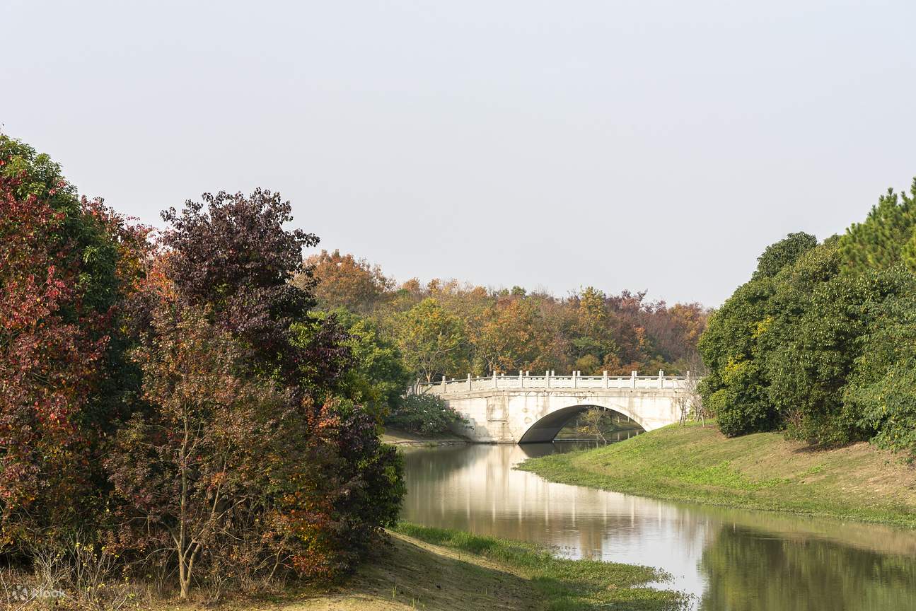 Shanghai Haiwan National Forest Park - Klook Singapore