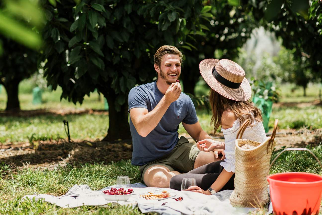 Cherry Picking at CherryHill Orchards - Klook Australia