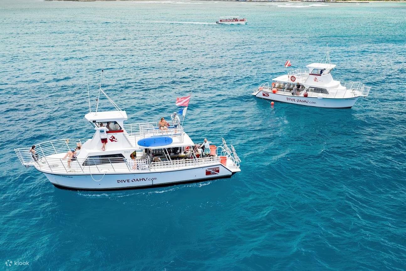 Ultimate 3-Tank Dive Experience in Oahu - Klook Philippines