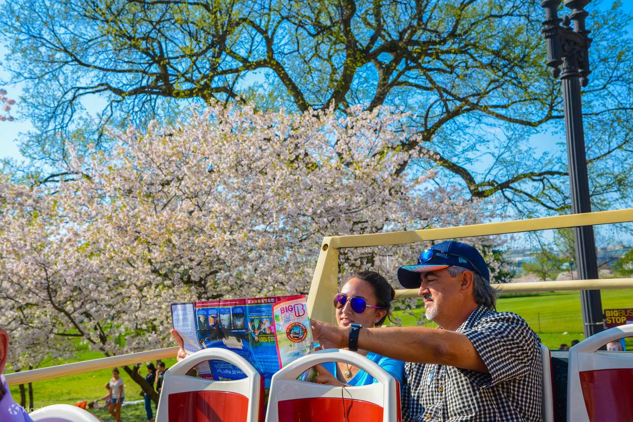 Washington DC Big Bus Hop-On Hop-Off Tours (Open-Top) - Klook