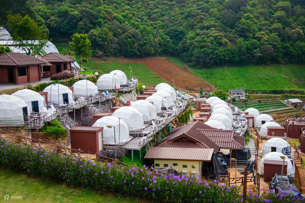 Mon Jam and Mae Kham Pong 2D1N Tour from Chiang Mai - Klook