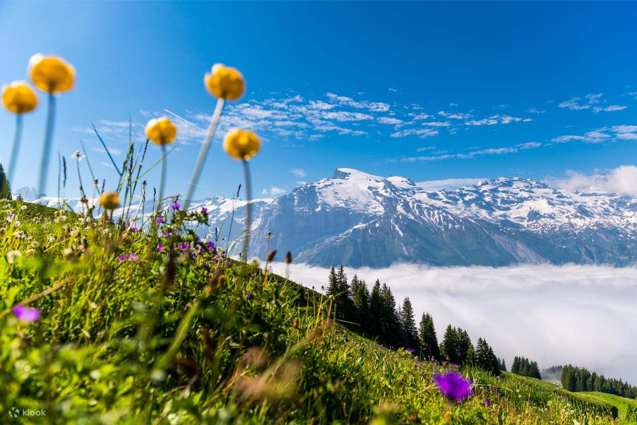 Titlis Ticket from Engelberg - Klook India
