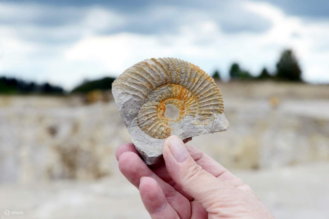 Private Sightseeing Charter Trip from Heidelberg to Frankfurt - Klook