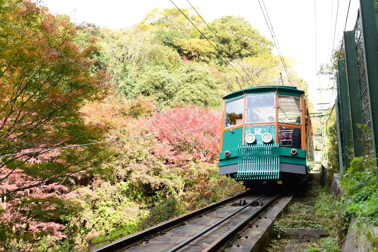 Mt. Rokko View ＆Arima Onsen Town＆Premium Outlets One Day Tour - Klook ...