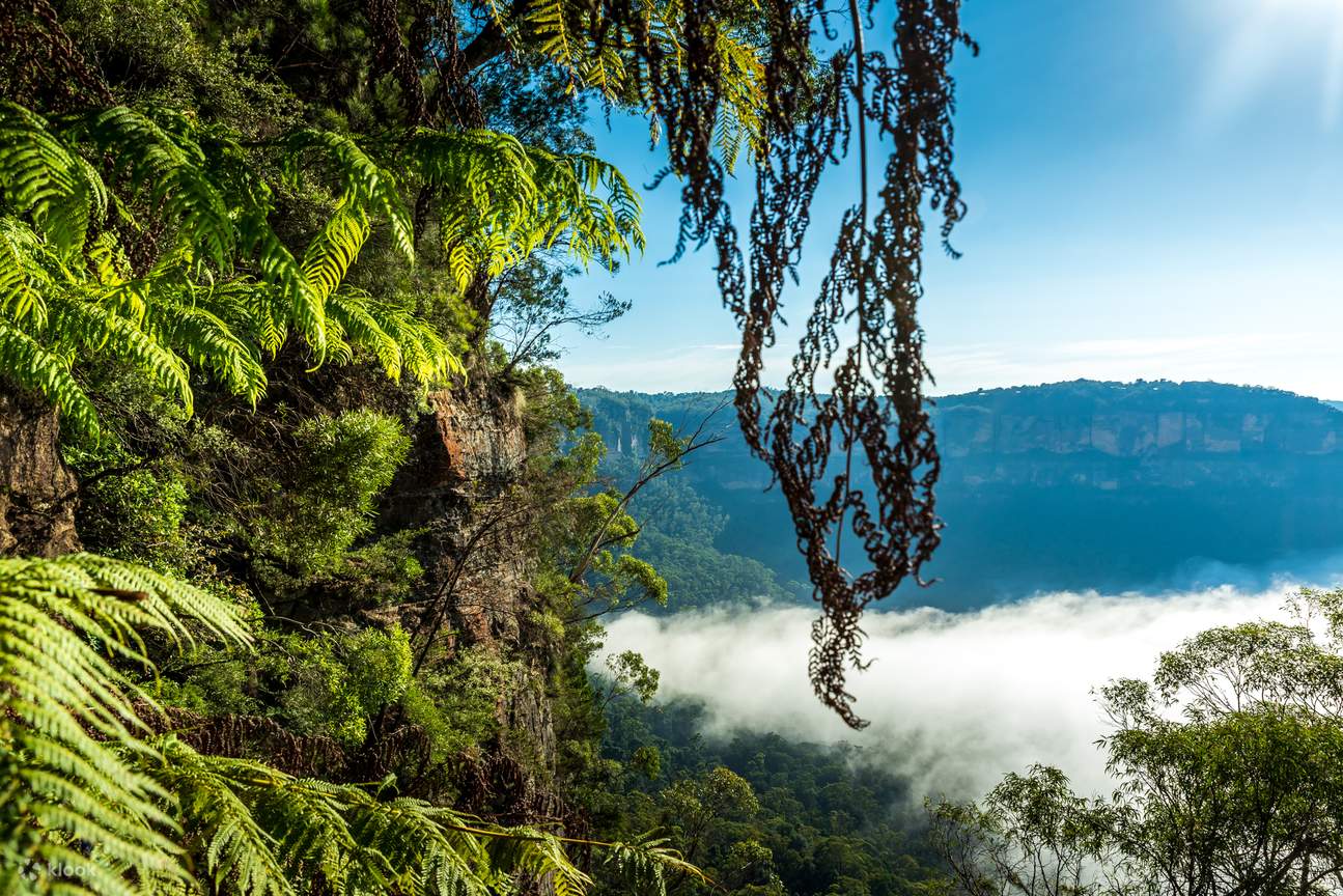 Small-Group Blue Mountains Tour with Photographer from Sydney - Klook ...