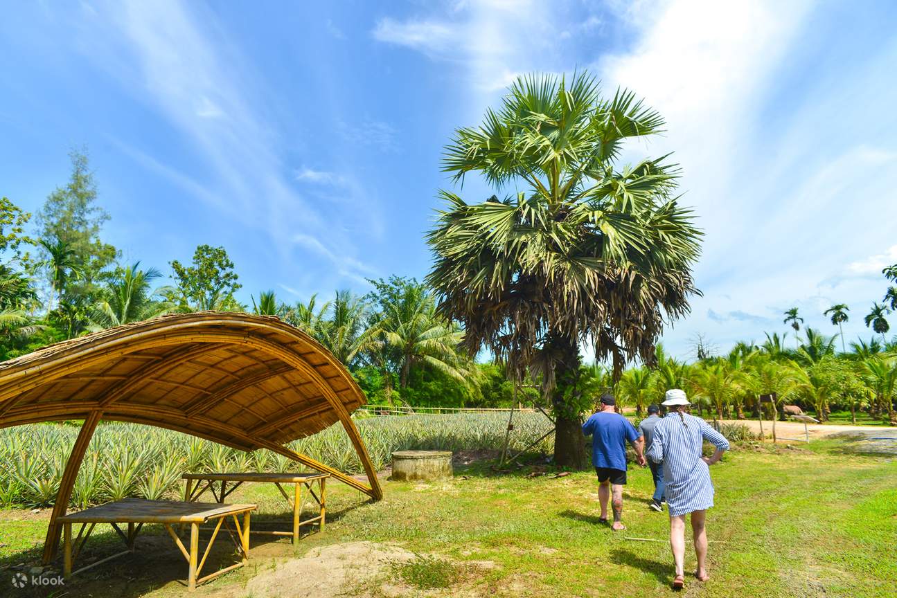 Phuket Cultural Highlights: Temples, Old Town & Thai Farm Experience ...