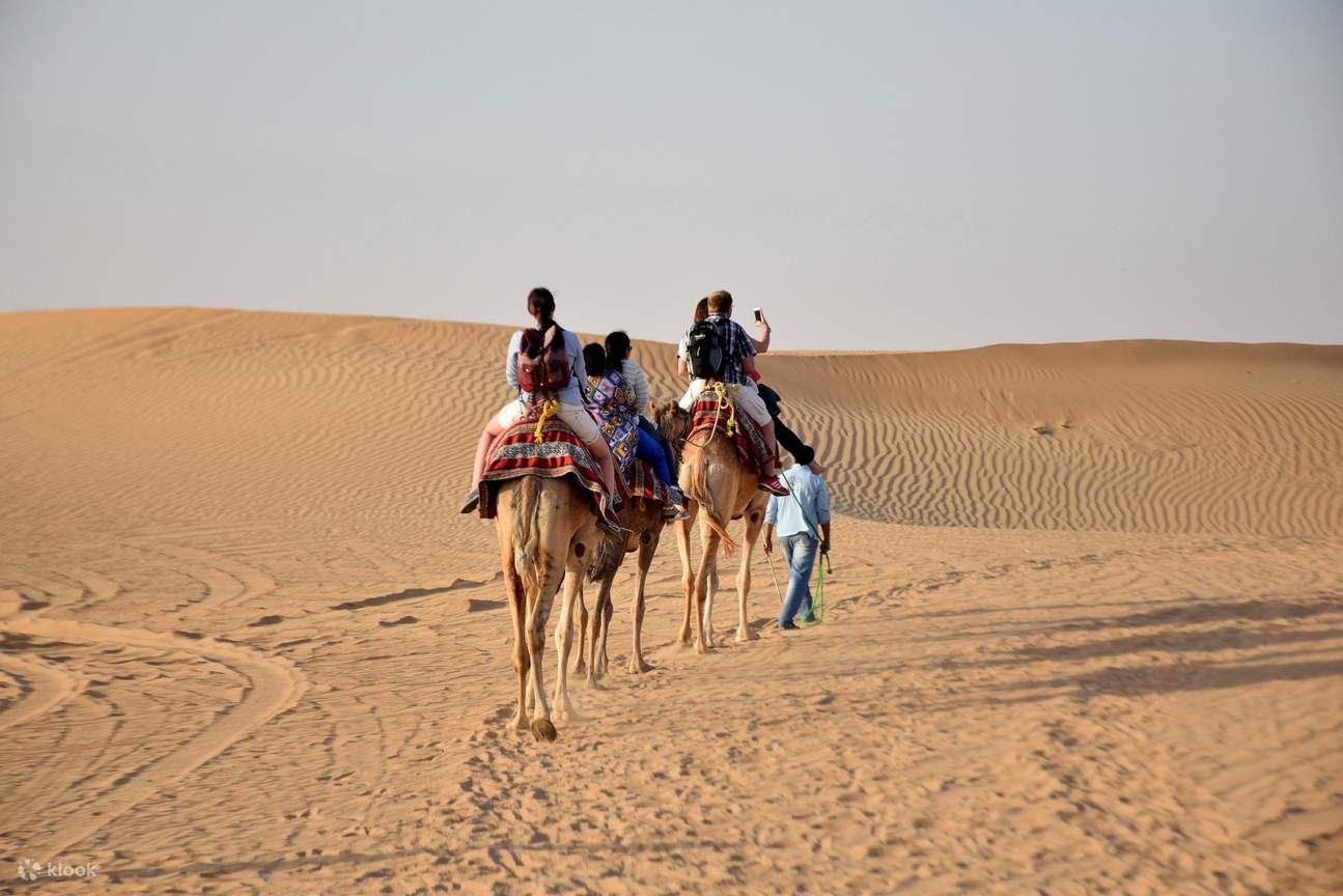 Camel Trekking Experience in Abu Dhabi, UAE - Klook United States