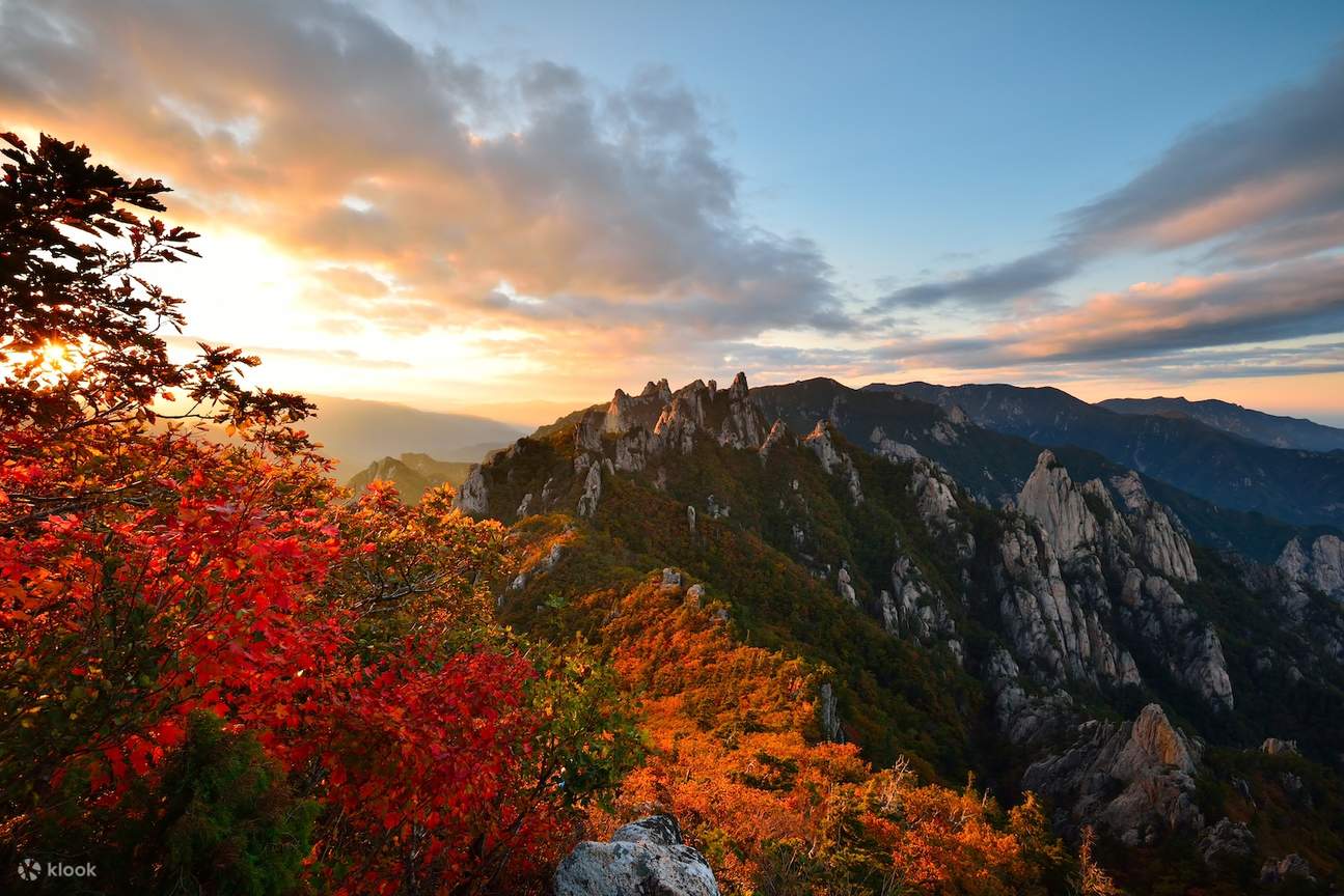 Sokcho Private Car with Driver: Pantai Sokcho, Seoraksan, Abai Village ...