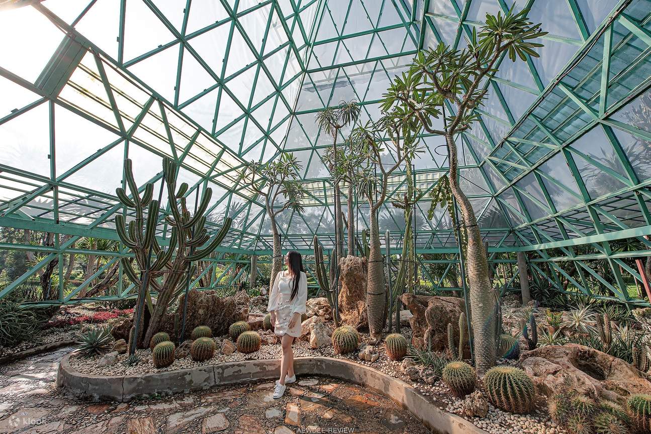 1 Day Join In Tweechol Botanic Garden in Chiang Mai - Klook Singapore