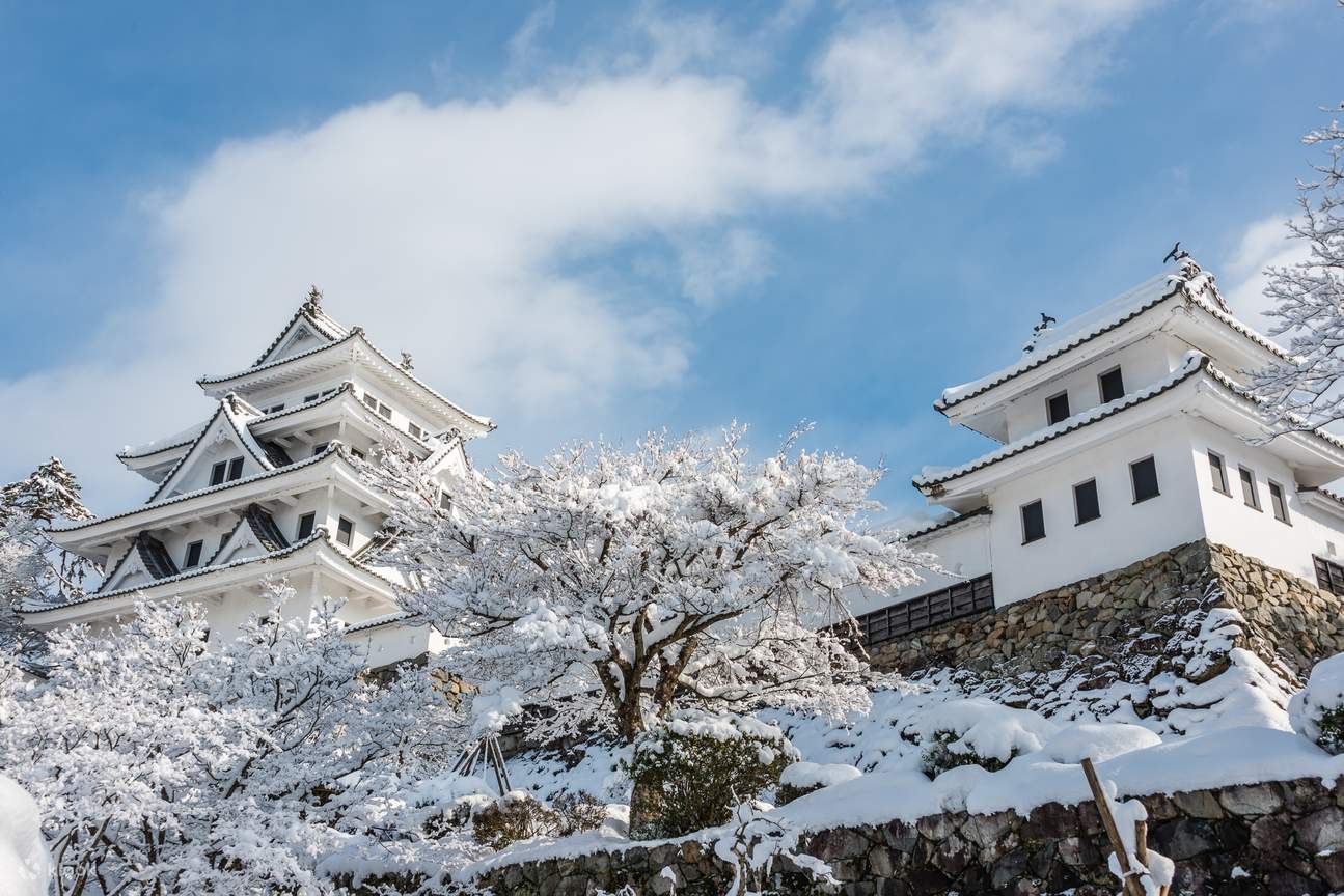 Online Booking for Shirakawa-go, Gujo Hachiman, and Hida Takayama Day ...
