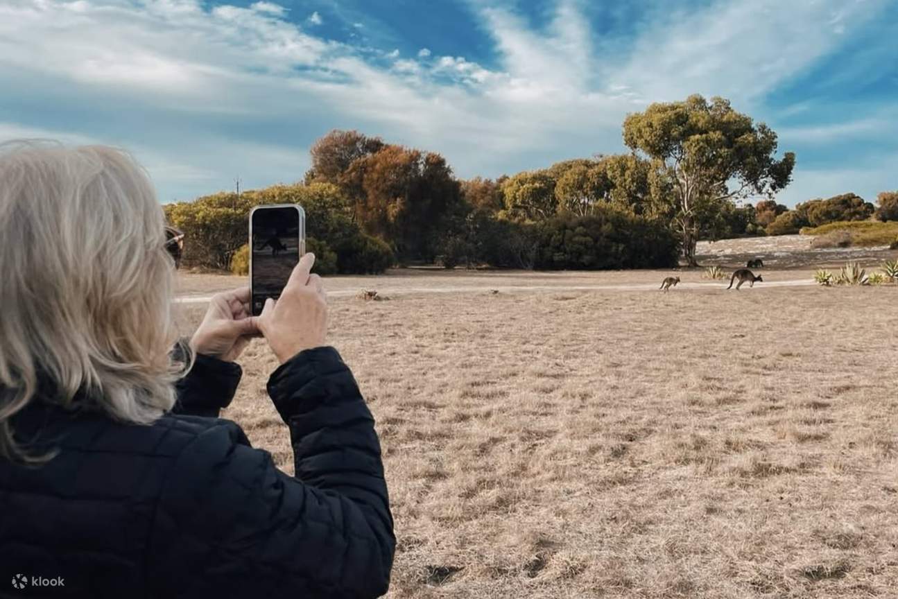 Kangaroo Island Scenic Nature and Wildlife Day Tour - Klook Singapore
