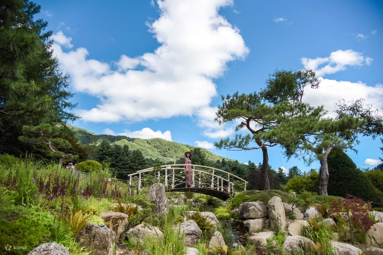 Nami Island, Garden of Morning Calm and More - Klook