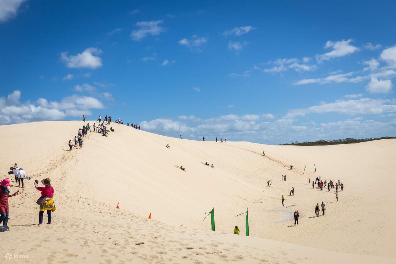 Daily Unlimited Sandboarding in Port Stephens - Klook