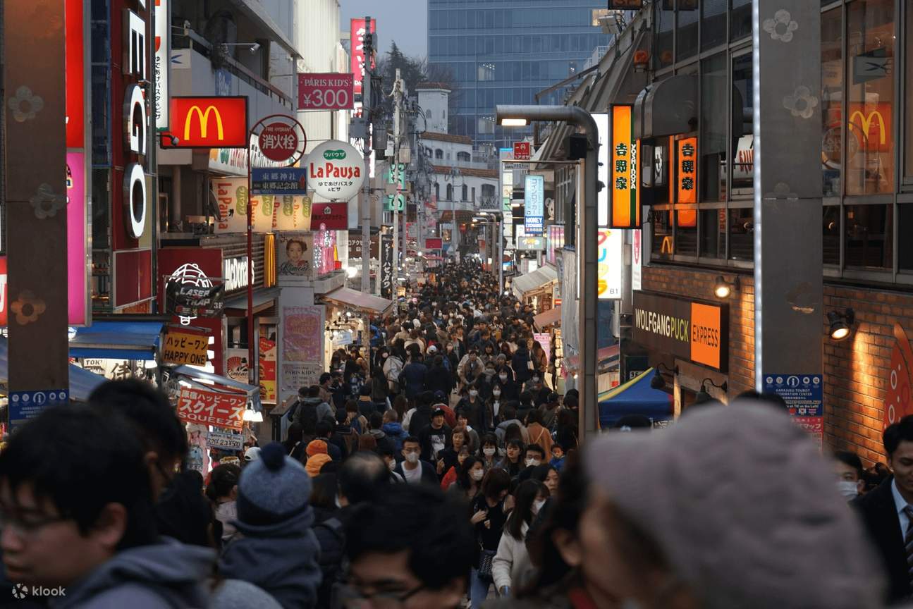 Kota Tokyo, Kuil Meiji, Istana Kekaisaran, dan Tur Pribadi Sensoji ...