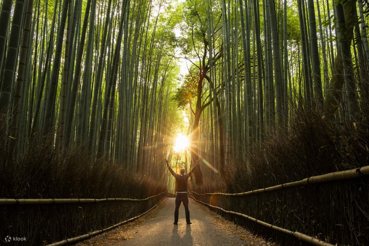 1-Day Kyoto Highlights Tour with Nijo Castle Ticket & Bamboo Forest ...