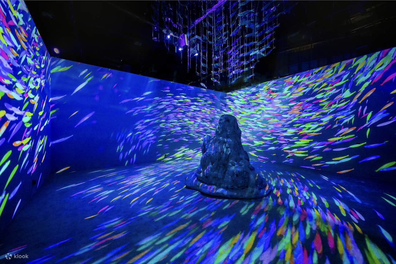 SJM presents : Macau Art City ·NAKED OCEAN - Klook