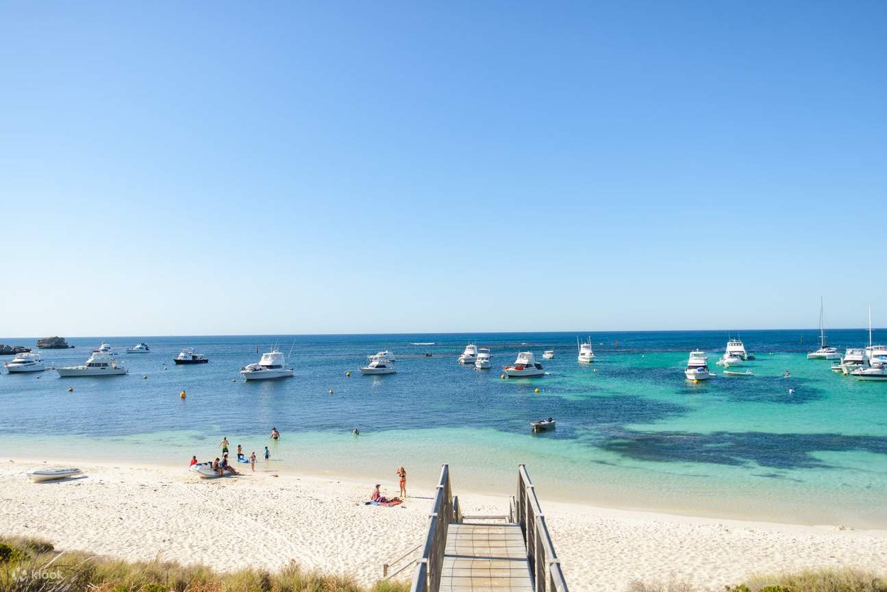 Gran recorrido por la isla de Rottnest - Klook Estados Unidos