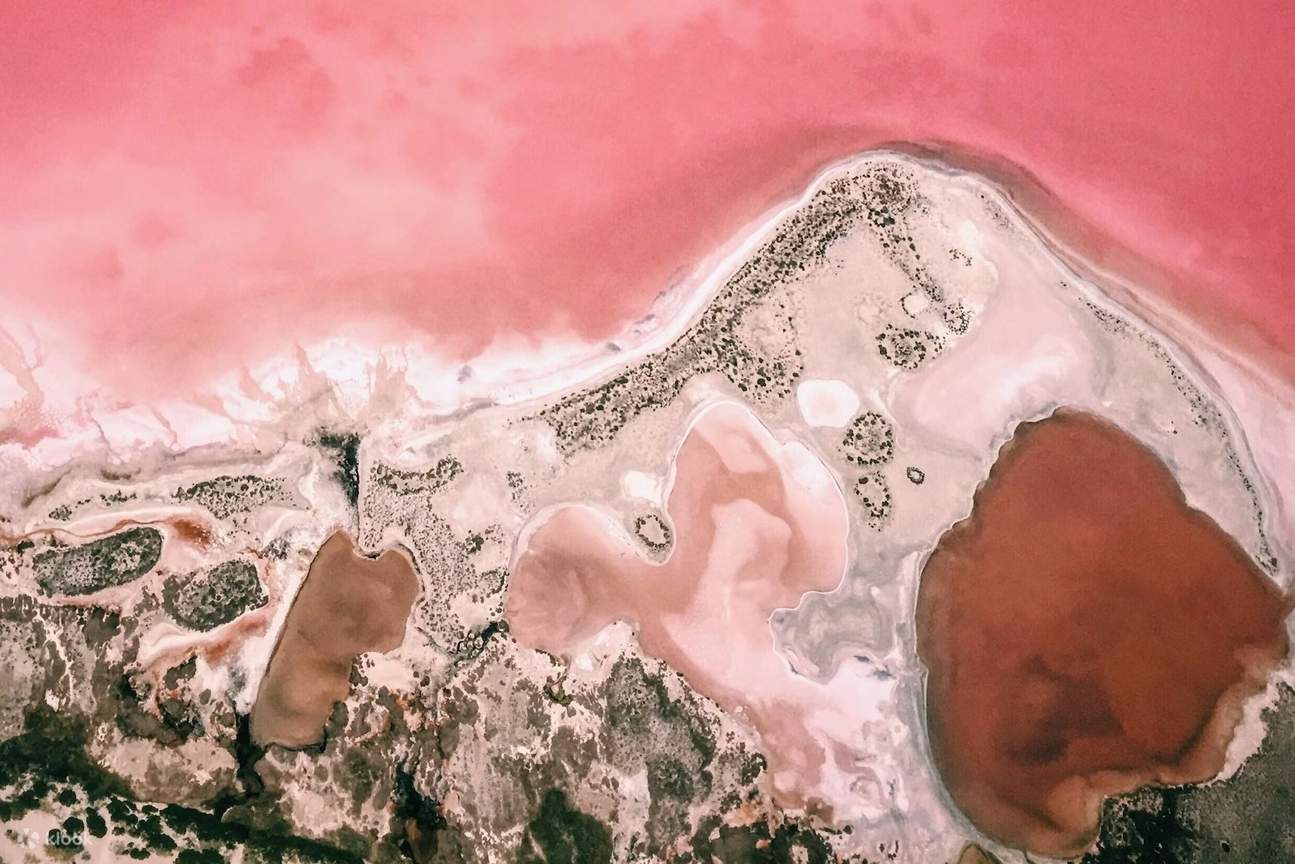 Pink Lake Tours & Activities at Hutt Lagoon - Klook Stati Uniti