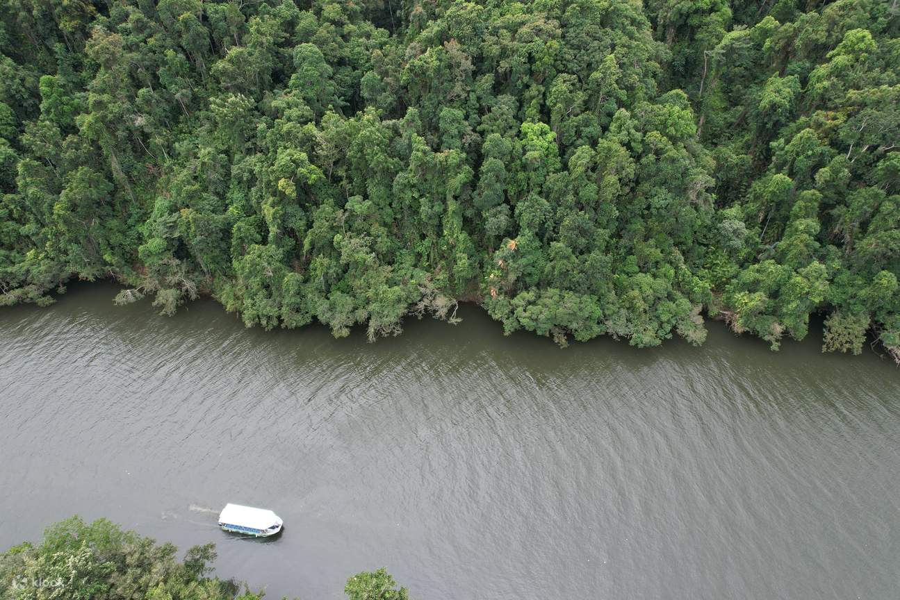 Greater Daintree Wildlife Cruise - Klook