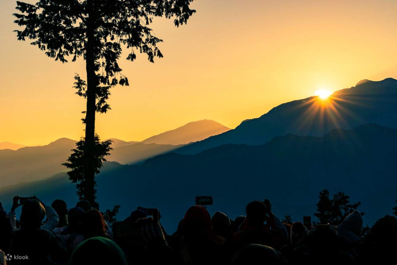 Chiayi Alishan｜Two days and one night｜Sunrise Forest Healing Tour ...